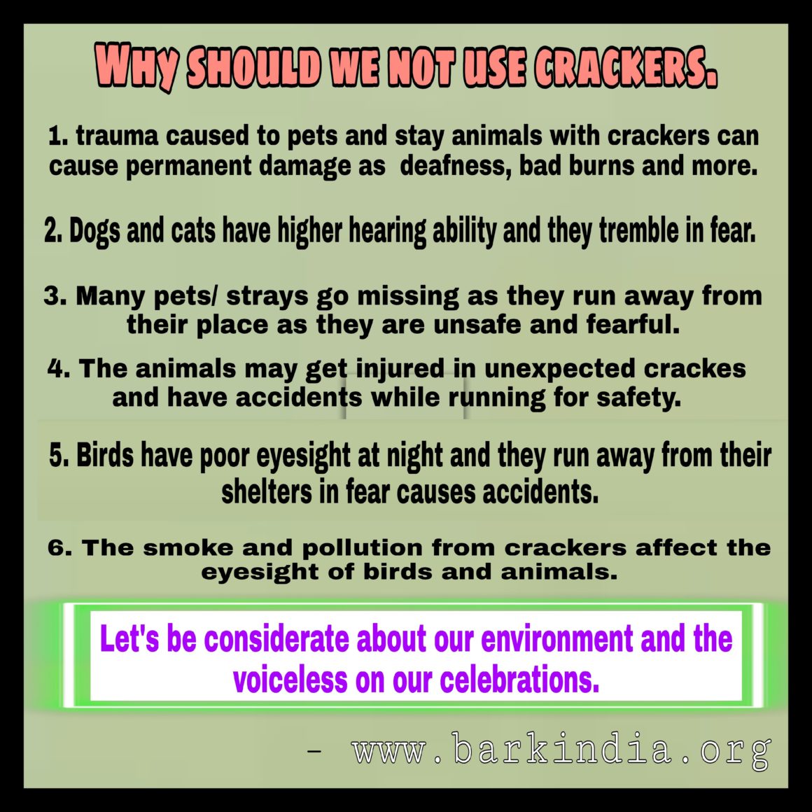 Why You Should Not Use Crackers- How crackers affect animals, birds and ...